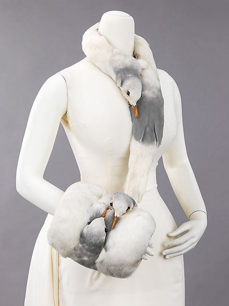 Hermelinpelz – woher kommen die schwarzen Punkte? – Textile Geschichten