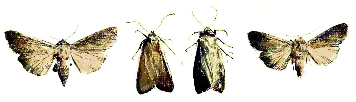 Du kriegst die Motten? – Textile Geschichten